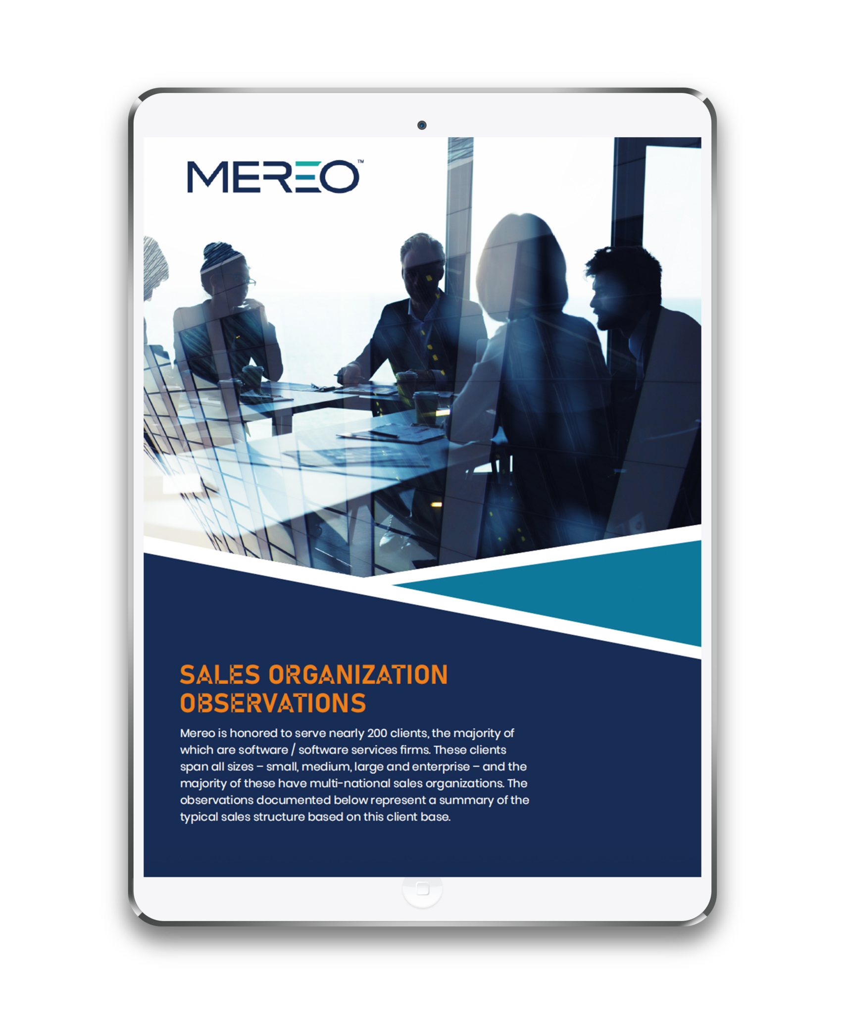Sales Organizational Roles Guide – Mereo
